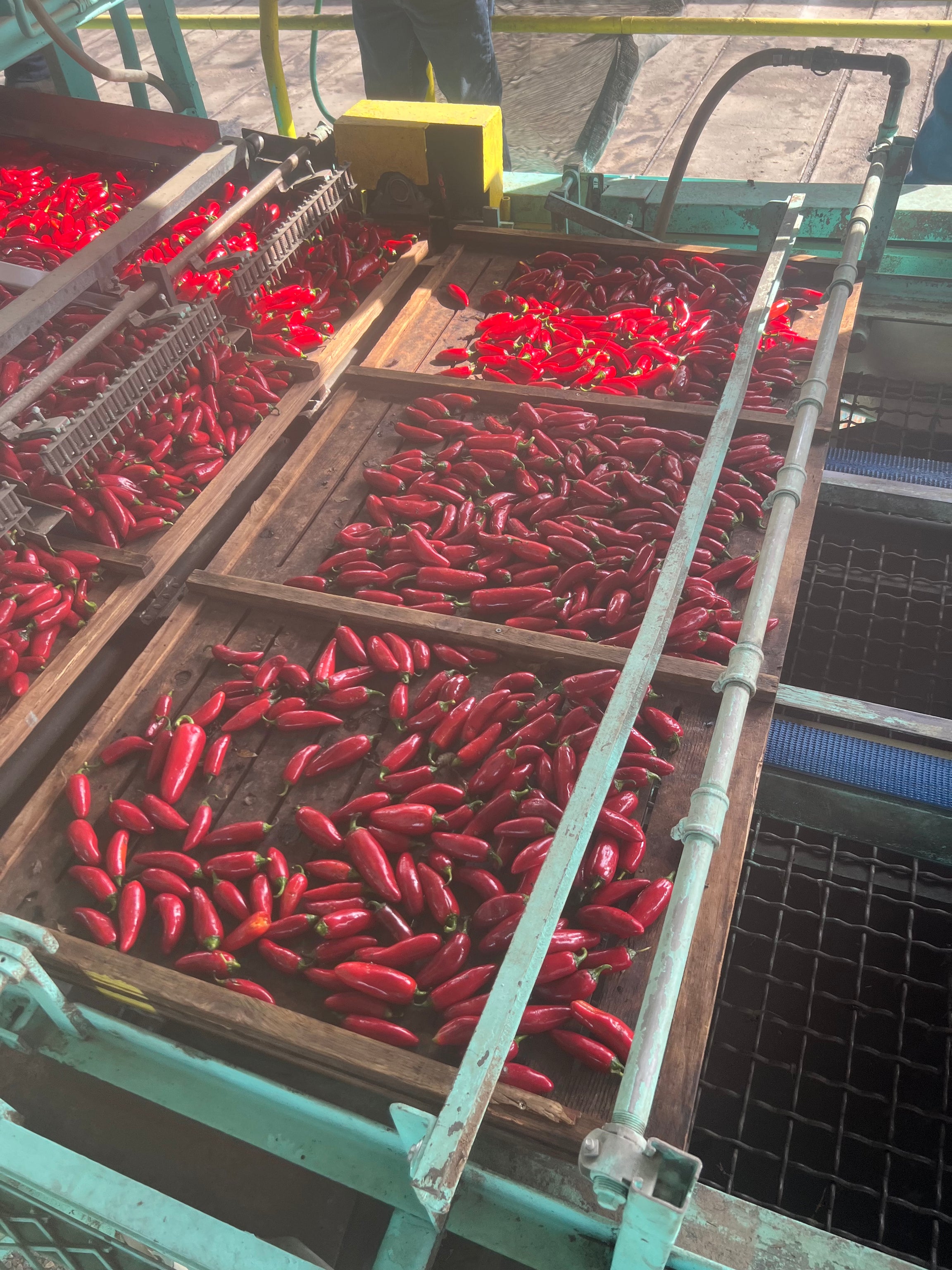 Chipotle Powder | Fire Tongue Farms