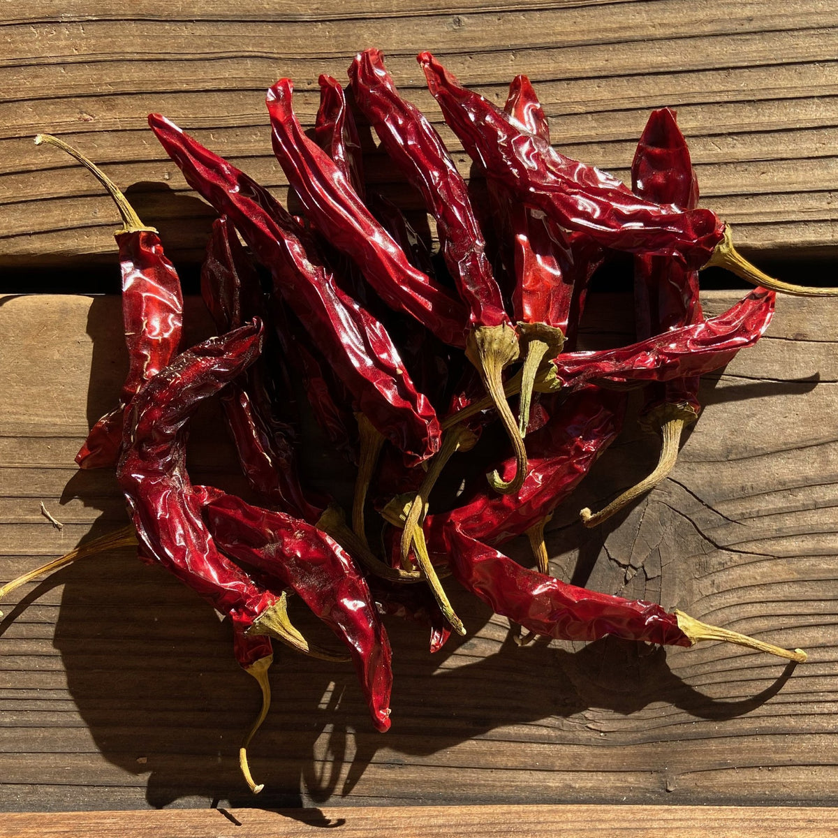 Serrano Dried Peppers by Fire Tongue Farms | Fire Tongue Farms
